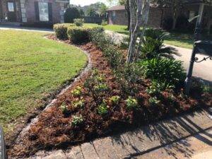 Gretna LA Landscaping and Lawn Care Services | Eric's Tidy Turf